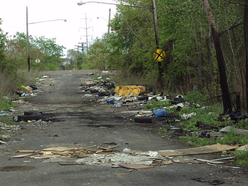 Delray and Southwest Detroit | World Geography Blog