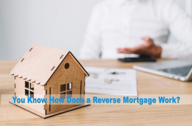 Do You Know How Does a Reverse Mortgage Work? - Biz Mortgages Blogs