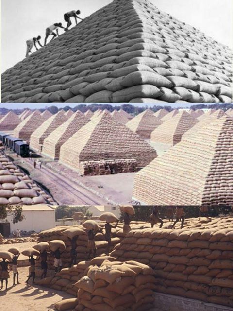 Inside Arewa News: The Groundnut Pyramids Of Kano, Will They Ever Return?
