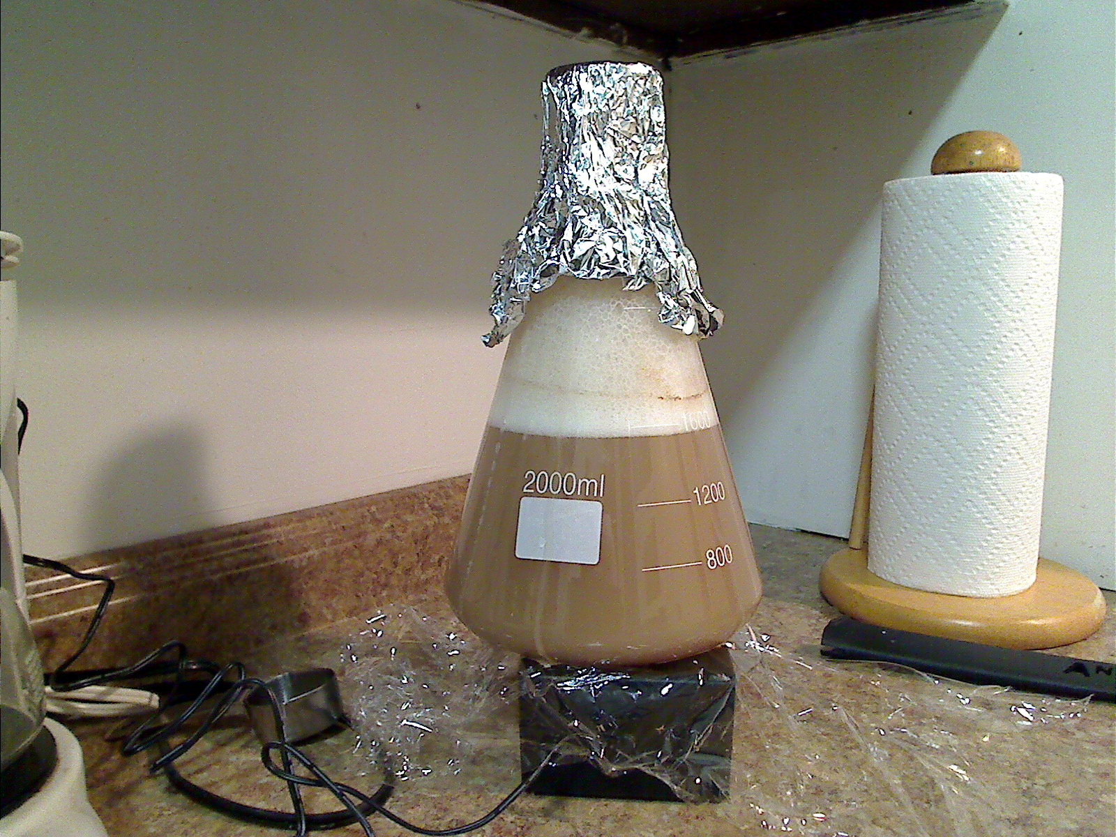 Most Important Brewing Investments? | The Mad Fermentationist ...