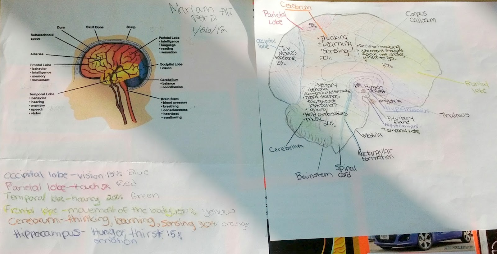 AP Psychology @AHS: Brain Unit - Extra Credit Examples