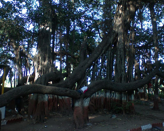 Know About Gujarat, News, Culture, Places | GujaratMap: Shuklatirth and ...