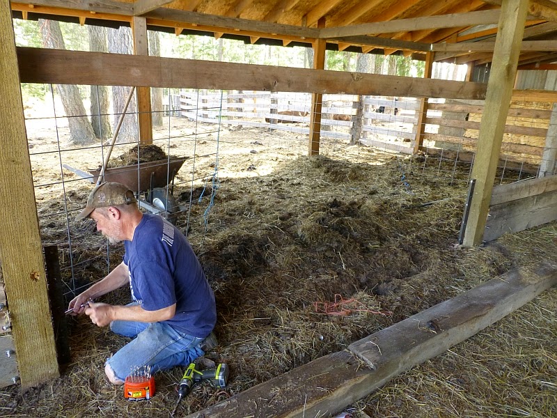Rural Revolution: Building feed boxes