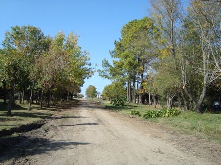 COLONIA ELIA, ENTRE RIOS | ESCAPADAS DE FINES DE SEMANA LARGOS