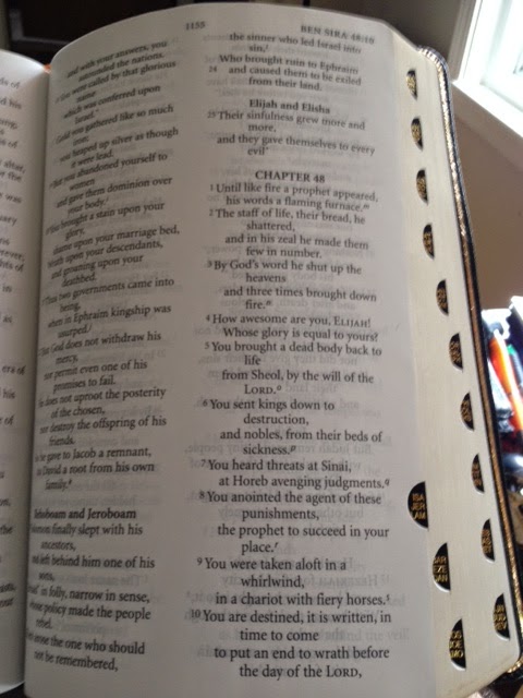 Catholic Bibles: Oxford NABRE Large Print