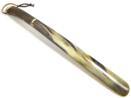 Abbey Horn - Taking Horns by the Bull