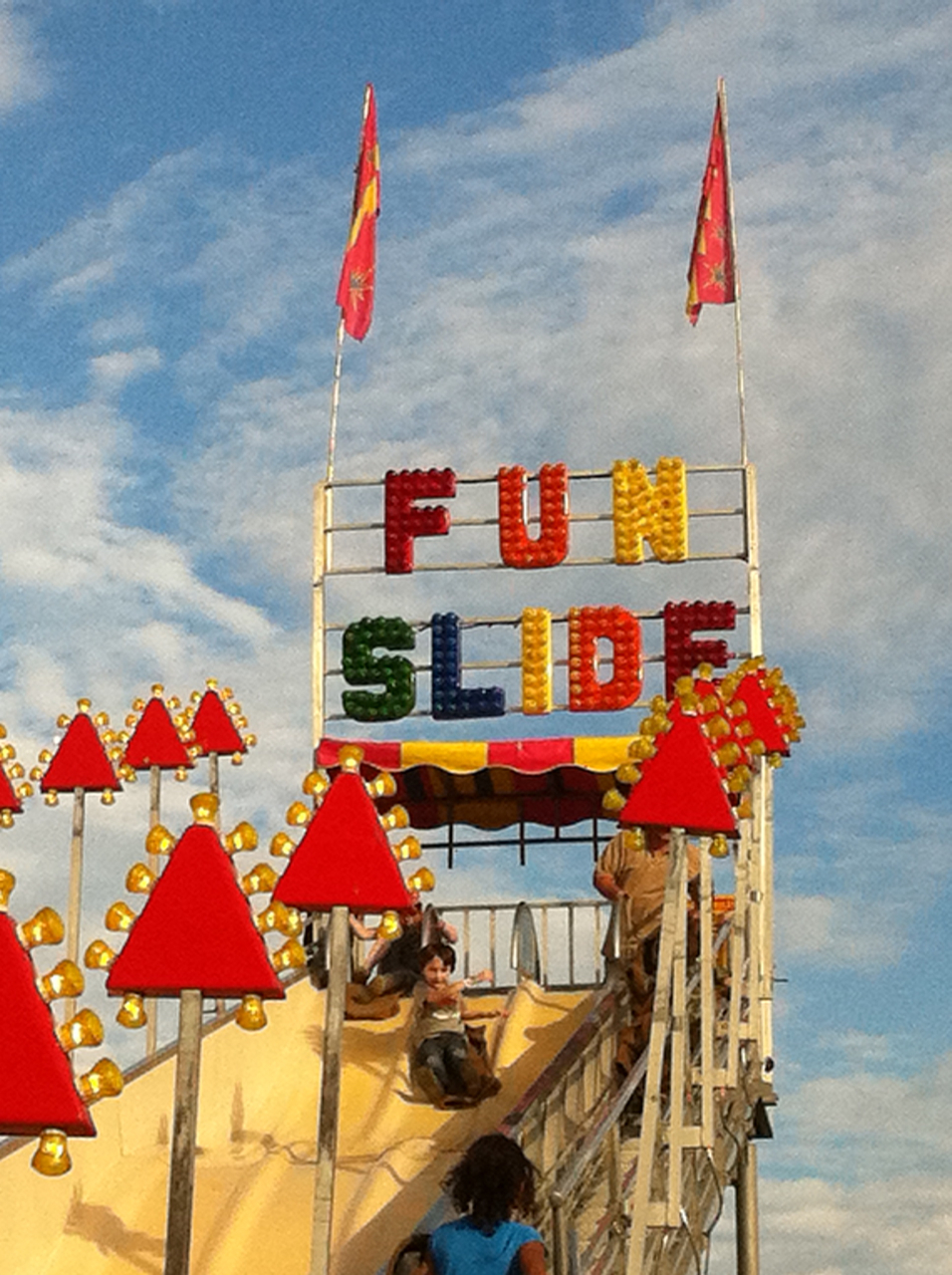 IMBY: A Rear Window View of Brooklyn's South Slope: Carnival FUN SLIDE
