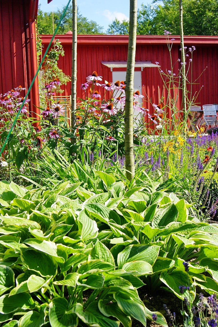 Mejrams!: Entré och rabatter!