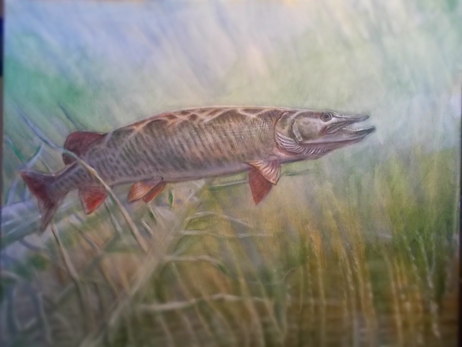 CHARLES WEISS ART: Muskie painting; Swimming through the valley