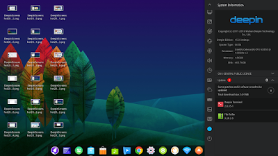 bee2wolf: Review of Deepin Linux 15.3 through screenshots