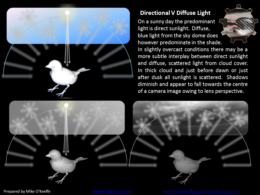 Birding Image Quality Tool: Human Bias - Tonal Gradient Illusions