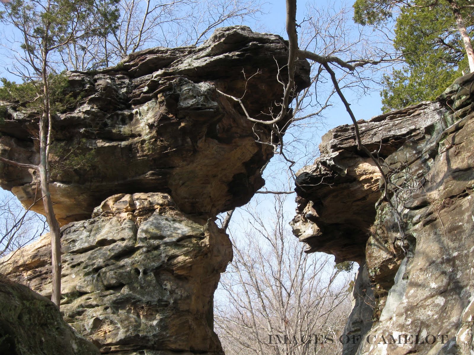 Images Of Camelot Photography and Design: Southern Illinois