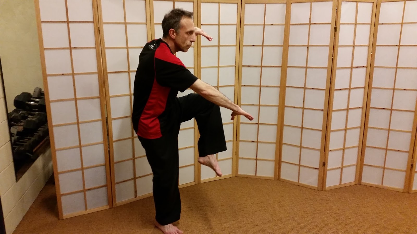 Taiji qin-na coaching clinic: repulse monkey
