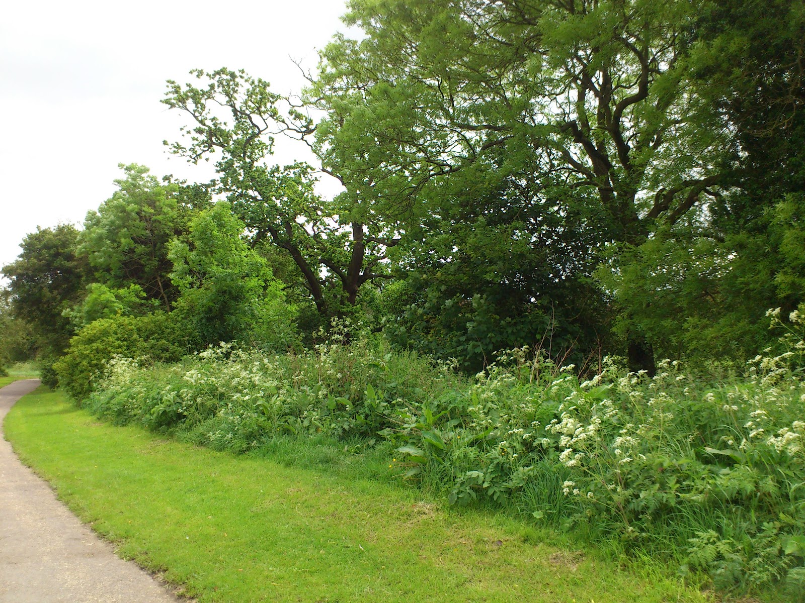 A Brummie's Guide to Birmingham: River Rea; Middlemore Rd - Popes Ln.