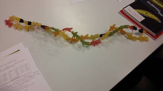 Naturfagblogg : Seigmenn