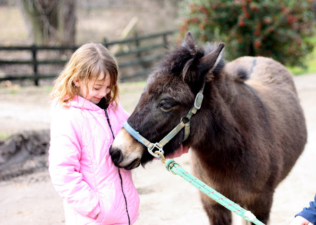 How Life Happens: Today we met a Hinny