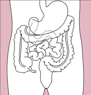 Gassy Stomach: The way to Take care of Gassy Stomach