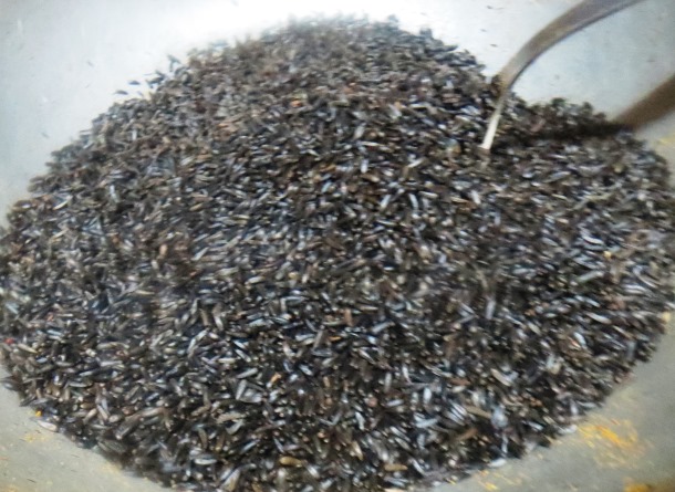 ಅಡಿಗೆ - Adige: Niger Seeds Chutney Powder (Hucchellu Chutney Pudi)