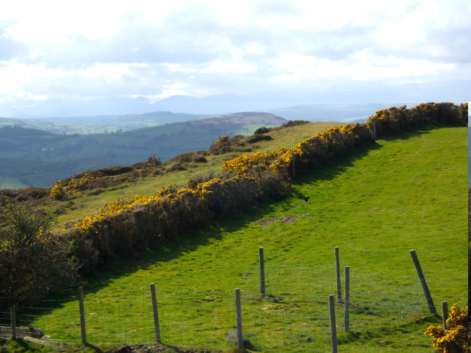 Martys` walks: Mynydd Y Gaer from Llannefydd - 3rd April - 5 miles ...