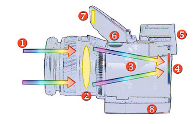 Camera USA: Learn the difference between a DSLR camera and campact And ...