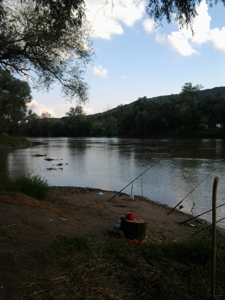 PESCARUL SINGURATIC: Partida de pescuit pe raul Mures la Burjuc -Jud ...