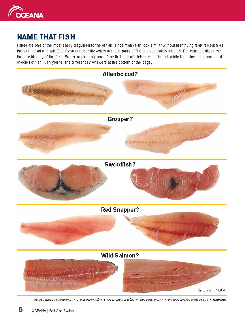 Looking and seeing: seafood labels