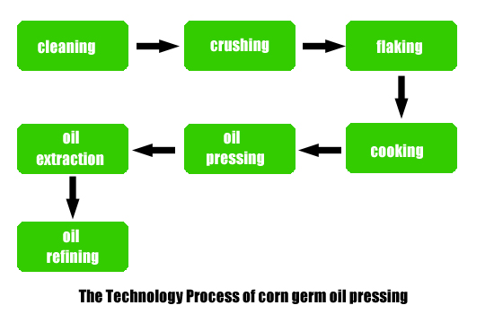 palm oil machine: process of rapeseeds oil production, technology ...