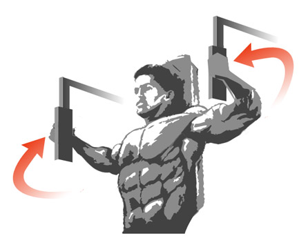 GYM: Peck Deck - Contractora para Pectoral