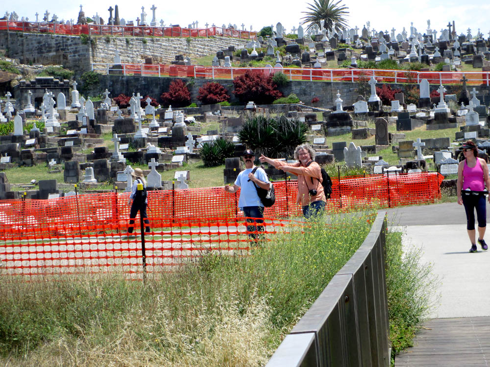 Days on the Claise: Waverley Cemetery, Sydney