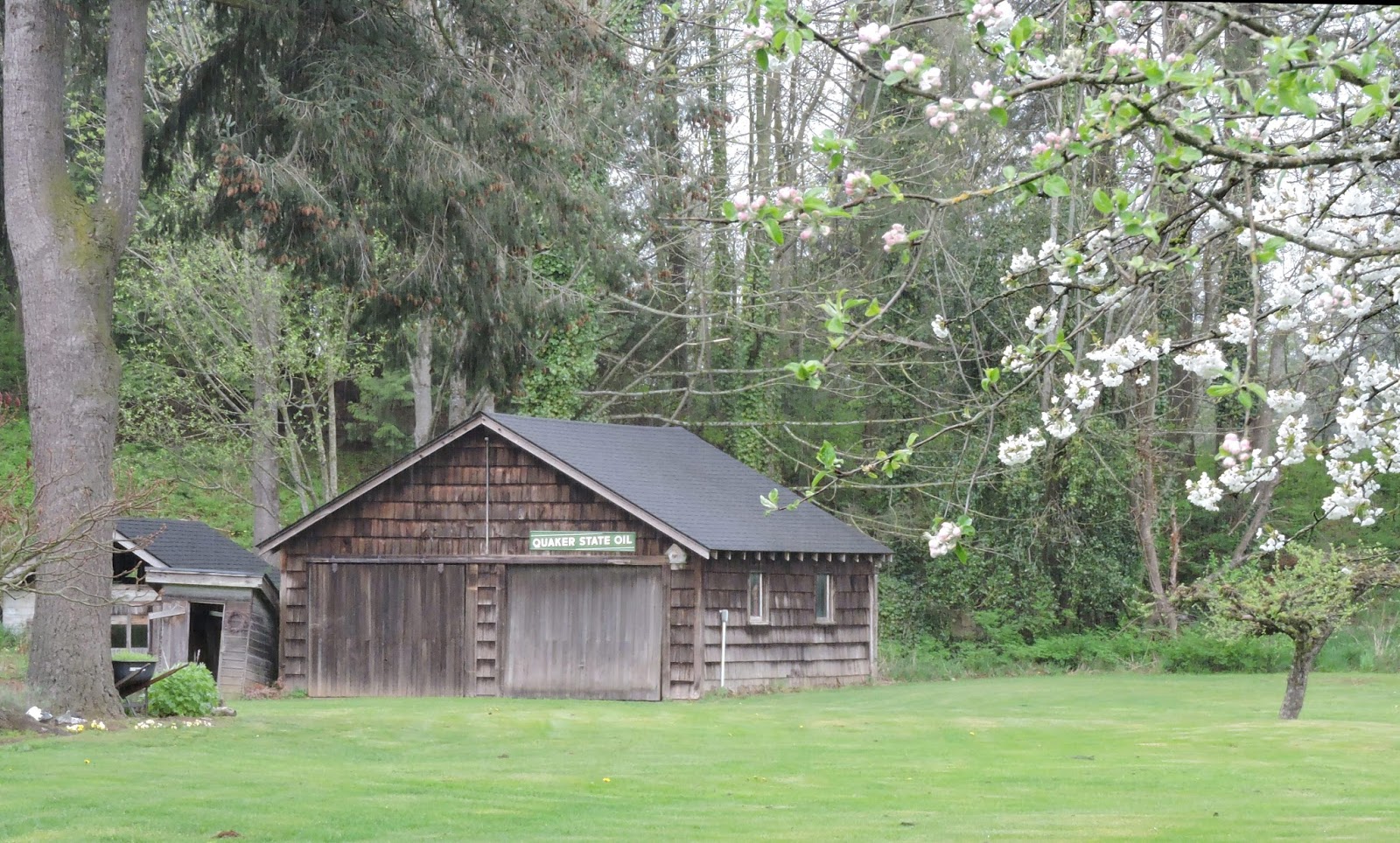 Scene Through My Eyes: Barns and Apple Trees