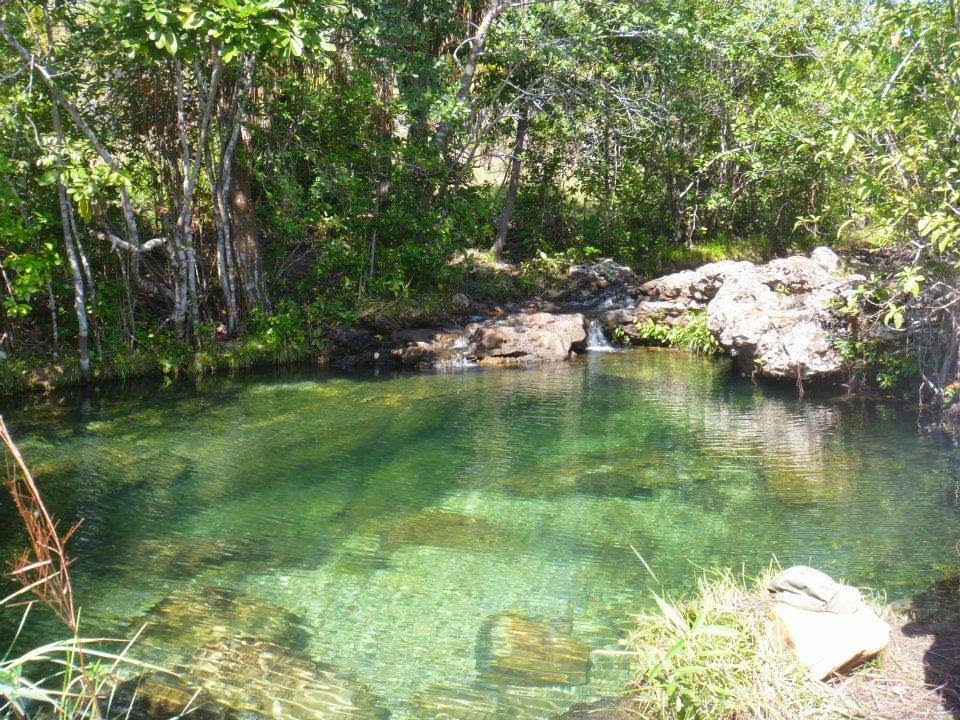 Parque Nacional Cinaruco Capanaparo: ¿Por qué hay que conservarlo?