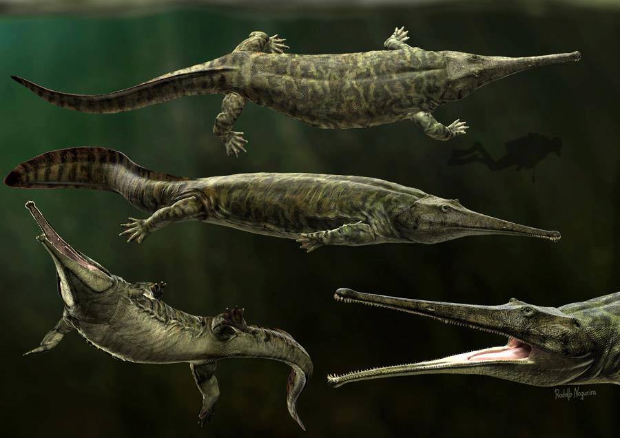 The Pondering Gulch: Et Tunc Nulla Erat VI