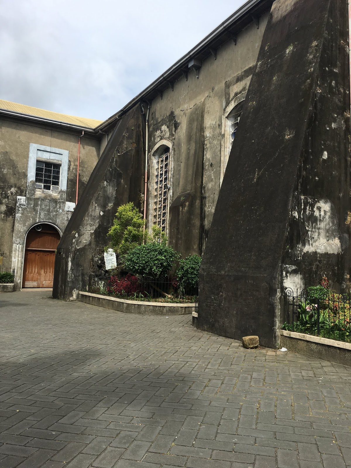 Red Fox - Photographs, Diaries, and Thoughts: Our Lady of Candelaria ...