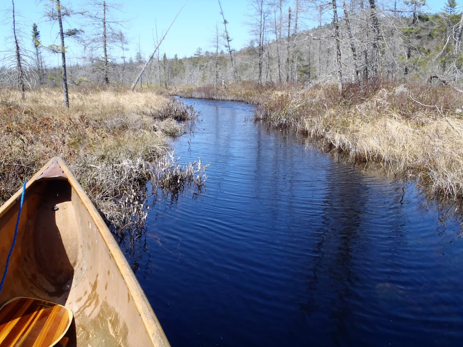 SHALLOW LAKE canoe camping, Adirondack Park