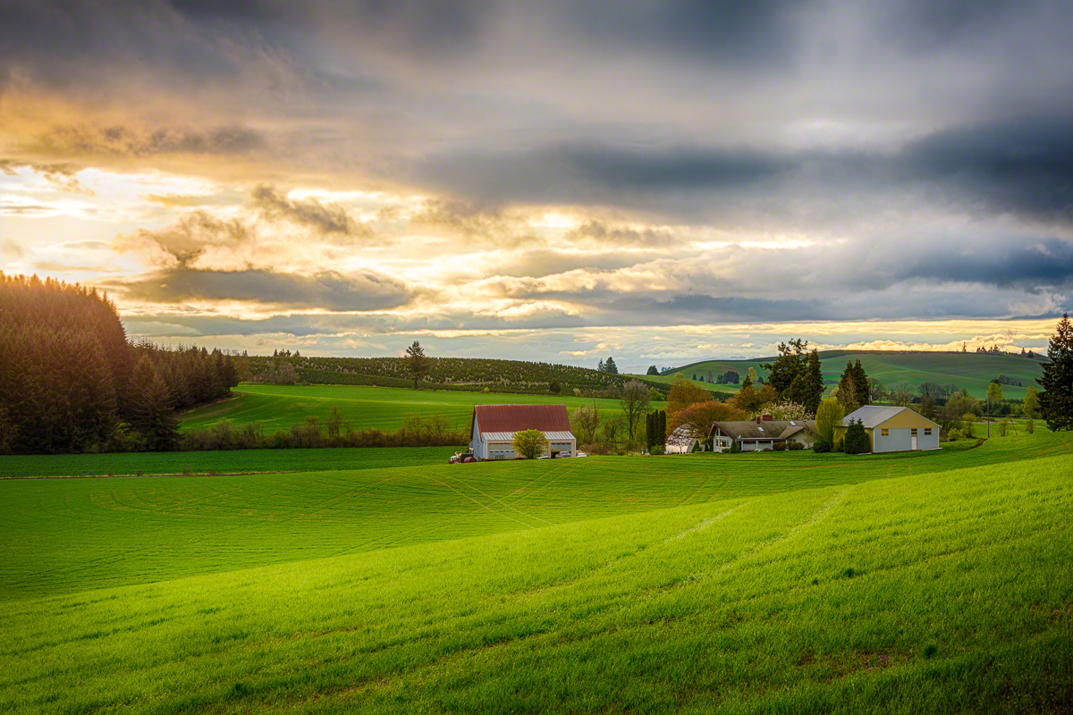 Urban Gardening : The Oregon Countryside