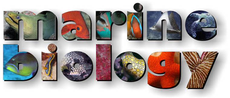 marine biology science courses