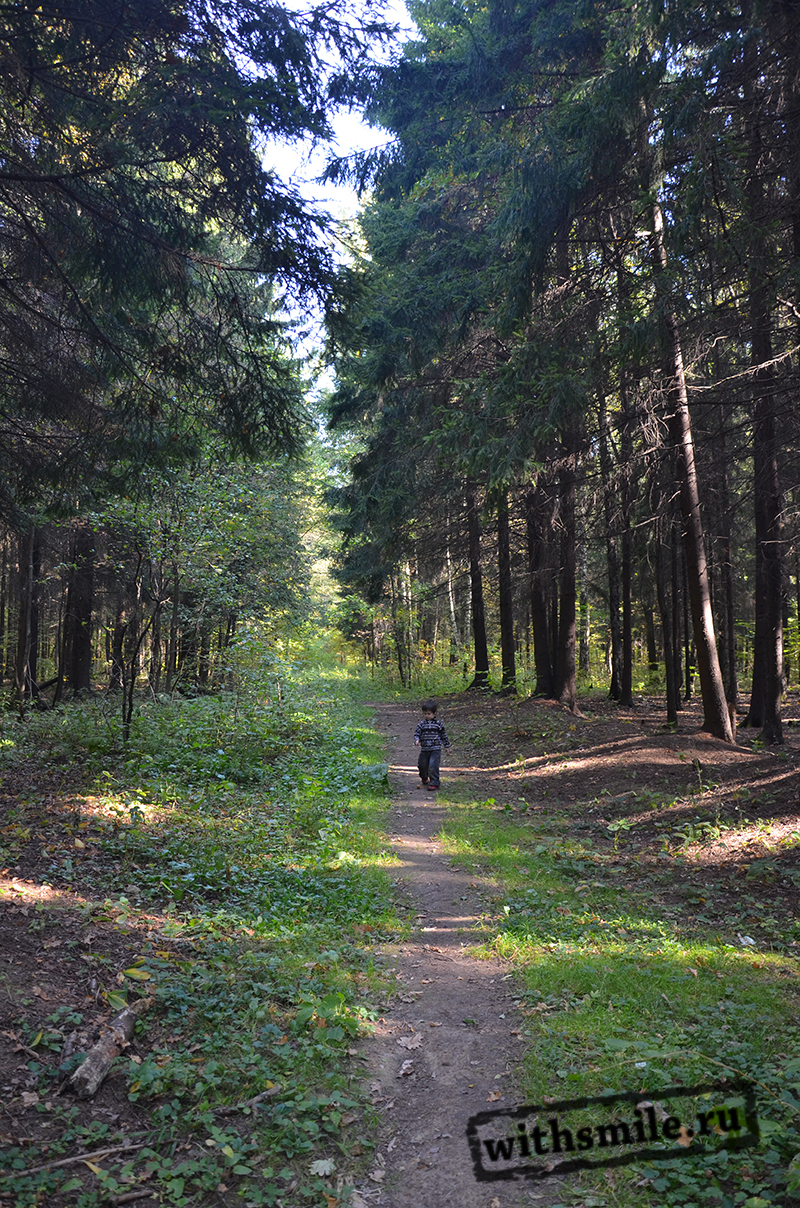Осенние прогулки в лесу ~ С улыбкой на лице!