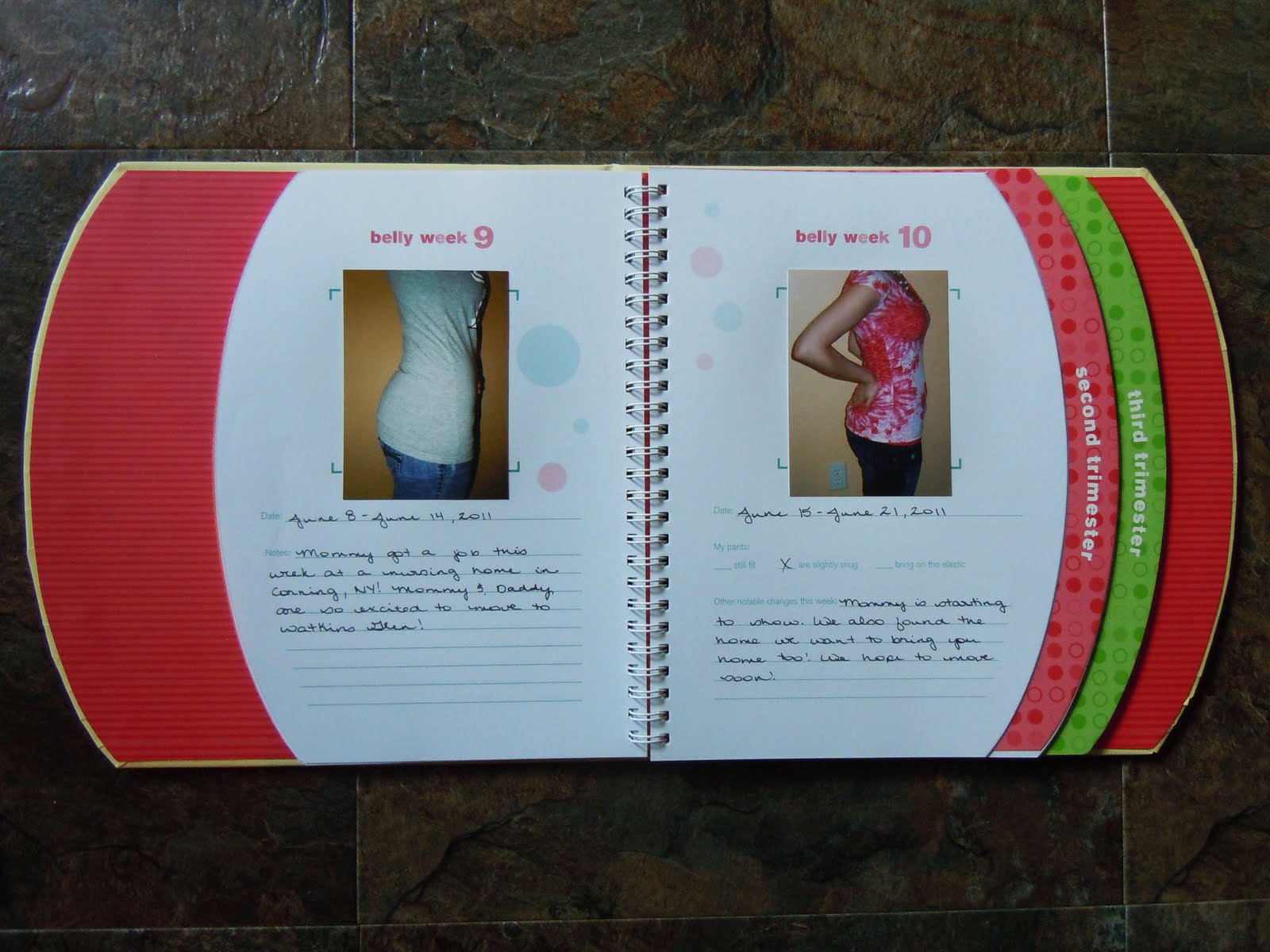 . Loving Every Moment .: The Belly Book