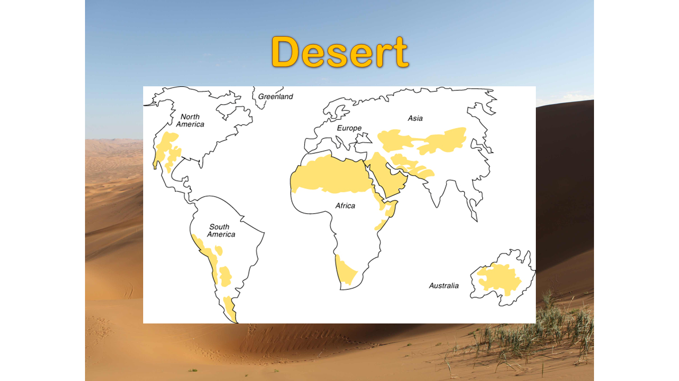 5th Grade - Andrés Segovia: SCIENCE: UNIT 2 - Deserts
