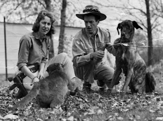 Senile Agitation: Jungle Larry