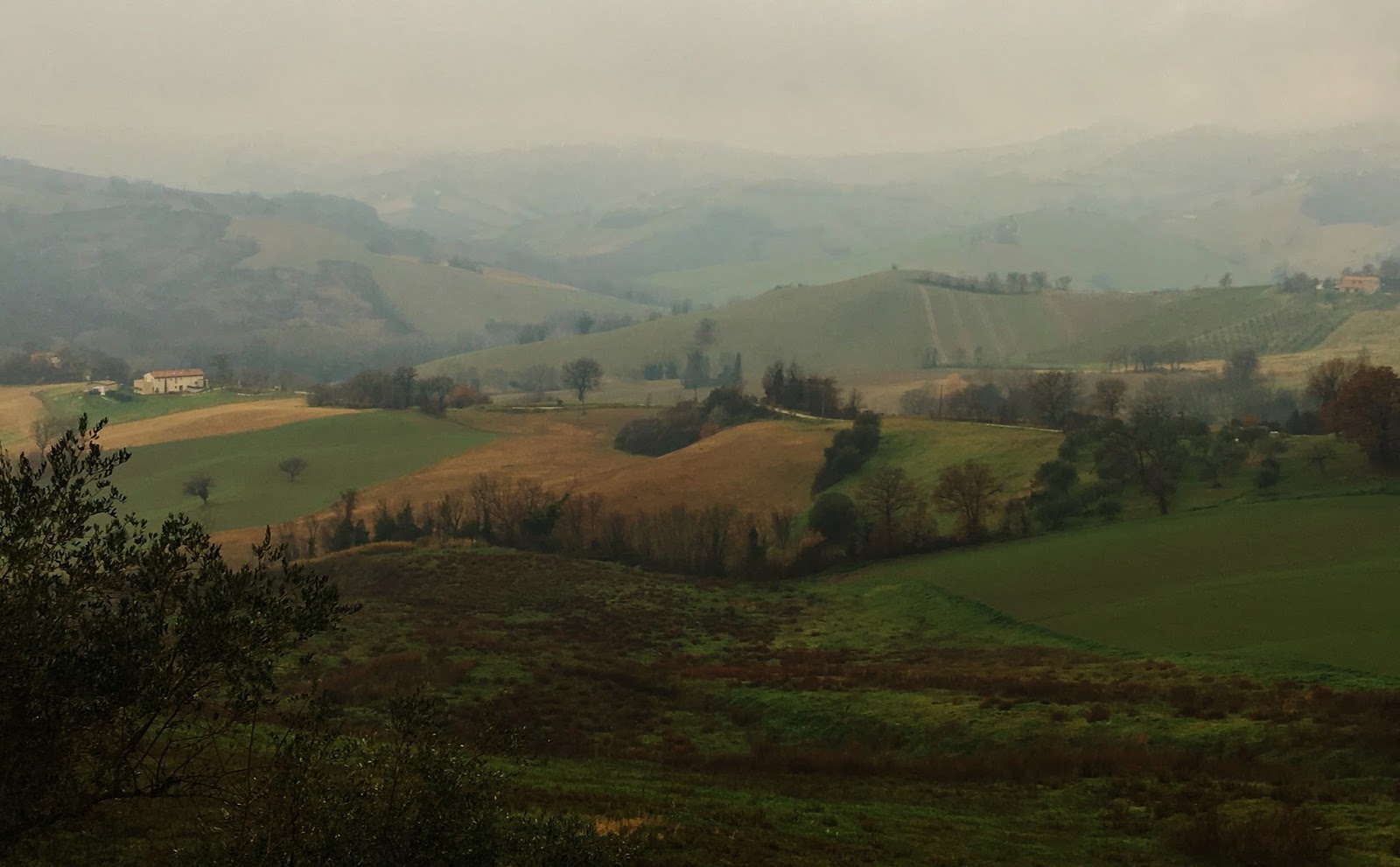 Gypsy Monika: Storytime: St Francis the Umbrian Rock Star!