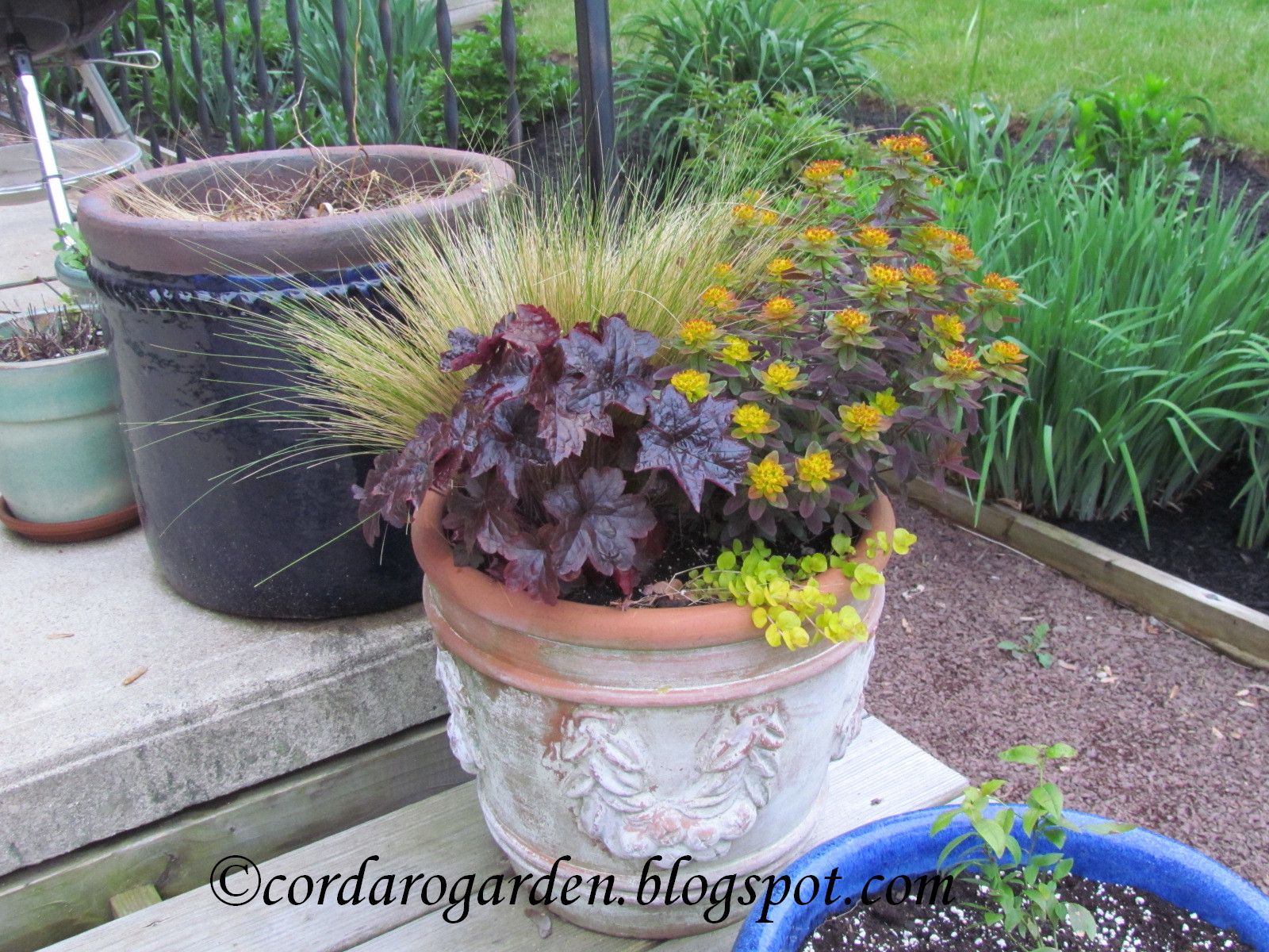 The Gardener of Eden: The Home Garden at the beginning of May