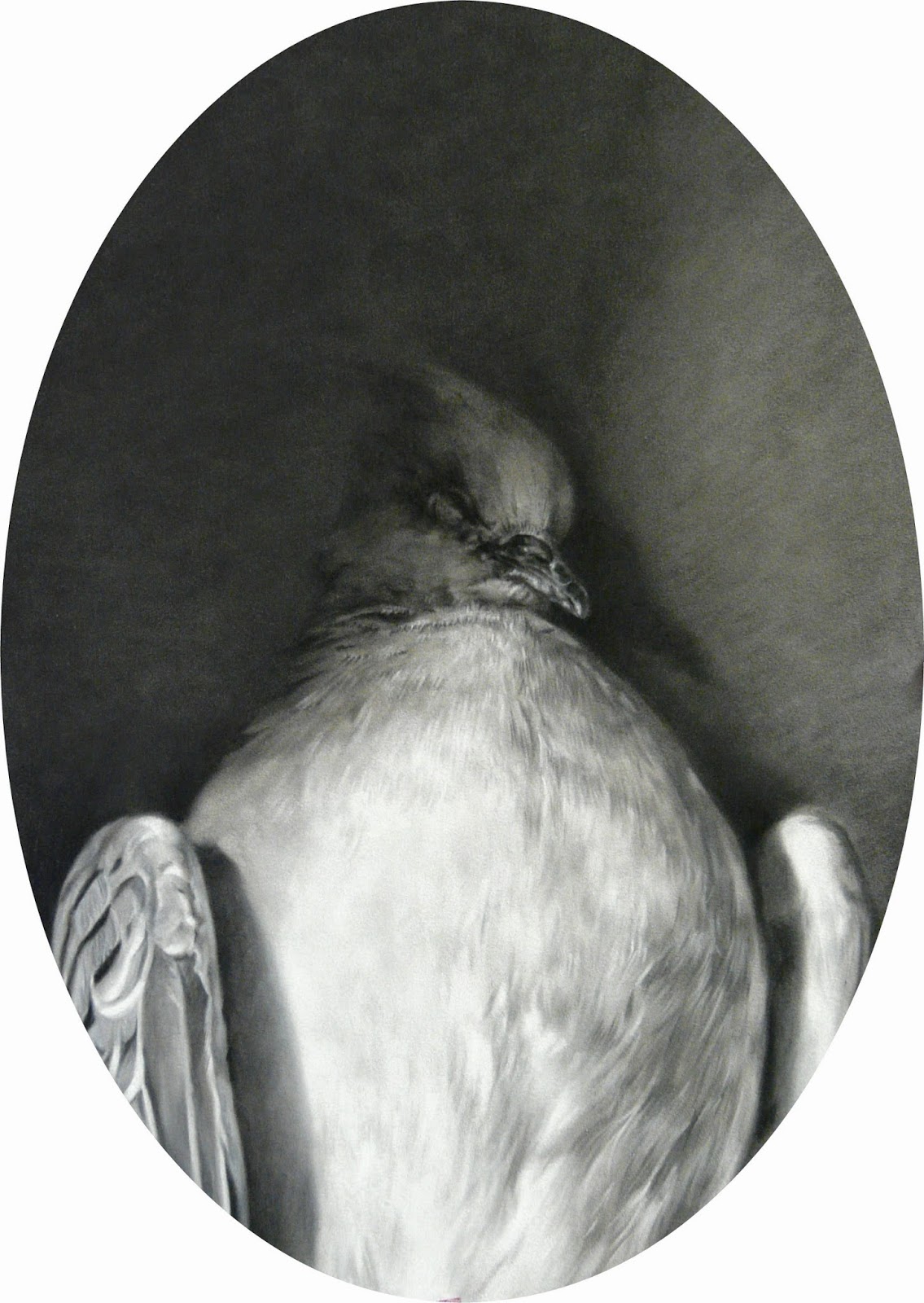 Michelle Molinari Artist