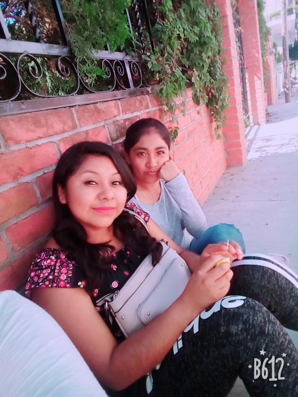 Mi biografia: Mi biografia dalia guerrero mesa