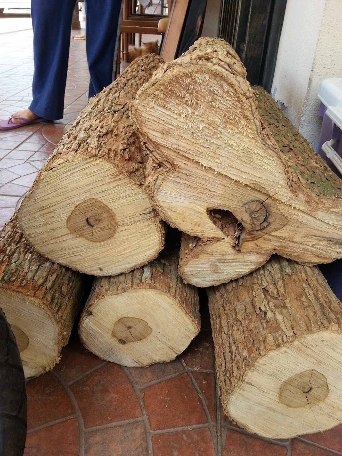 Kayu Warisan Malaysia: Kayu kemuning emas untuk dijual