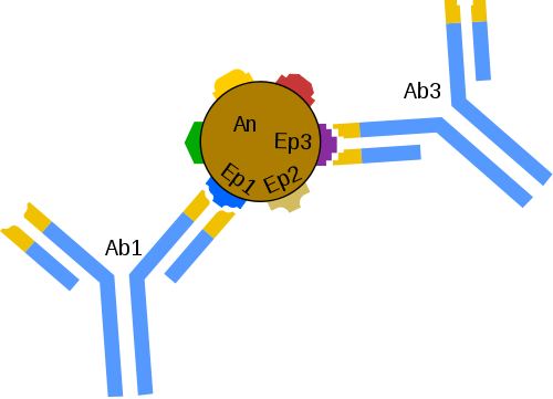 Food Allergy Bitch: Component Testing (Pt. 1) - The Science