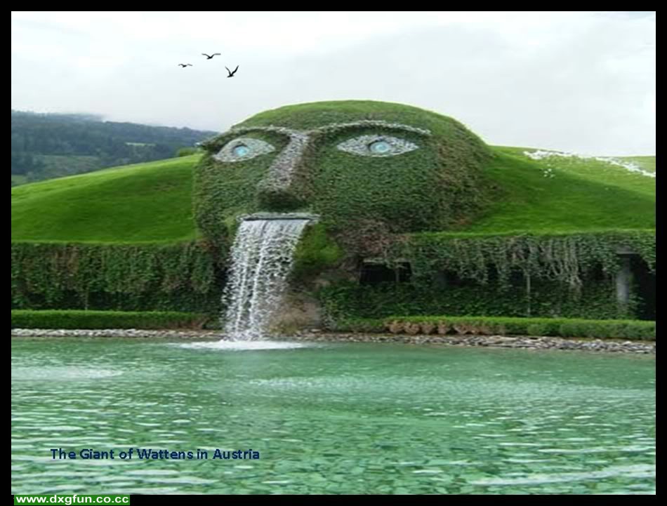 imagesofthe blog: Bizarre Nature Around the World