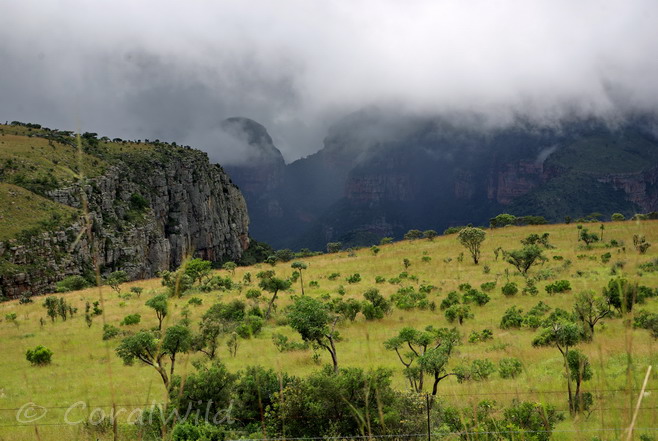 Coral Wild - A Safari Guides Diary: The Green Canyon