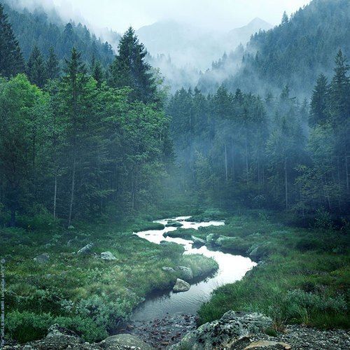 Weather Patterns | The Colorful Living Project