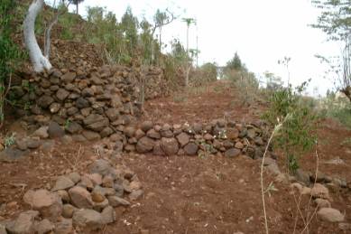 SOCIETY OF AFRICAN EARTH SCIENTISTS : Workshop Notes